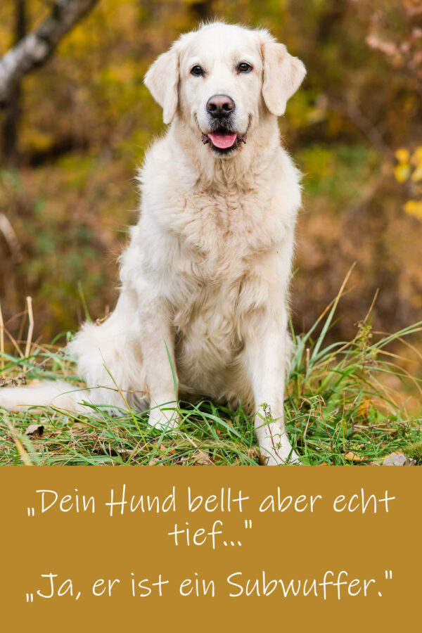 Die besten Flachwitze: 180+ lustige Kalauer zum Totlachen