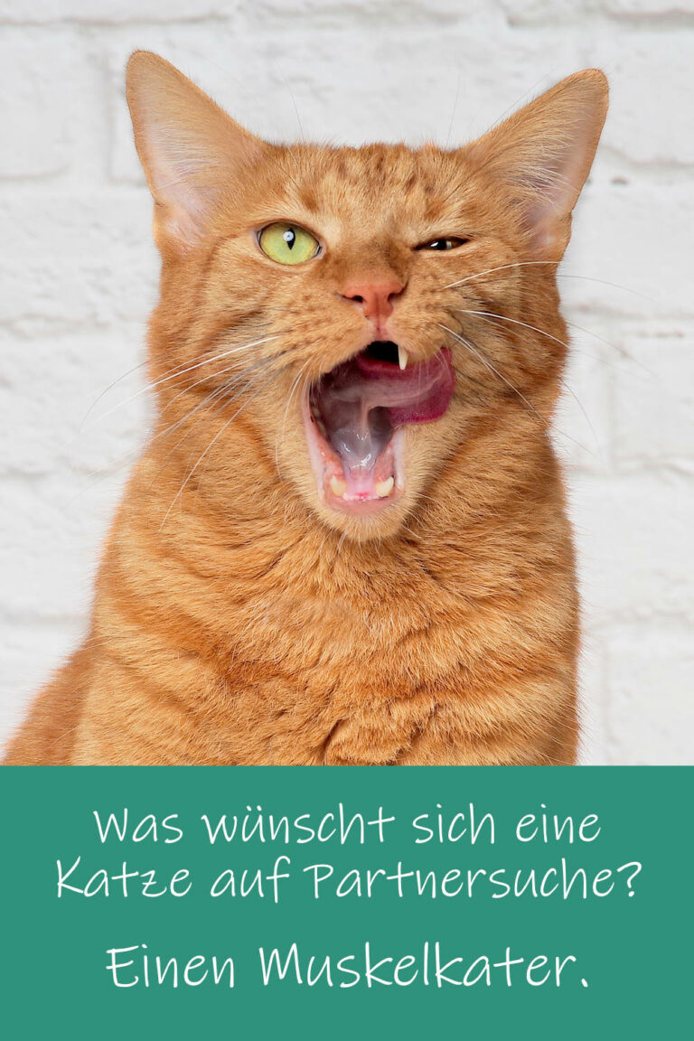 Die besten Flachwitze: 180+ lustige Kalauer zum Totlachen