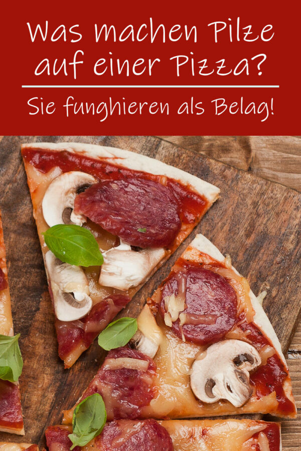 Die besten Flachwitze: 180+ lustige Kalauer zum Totlachen