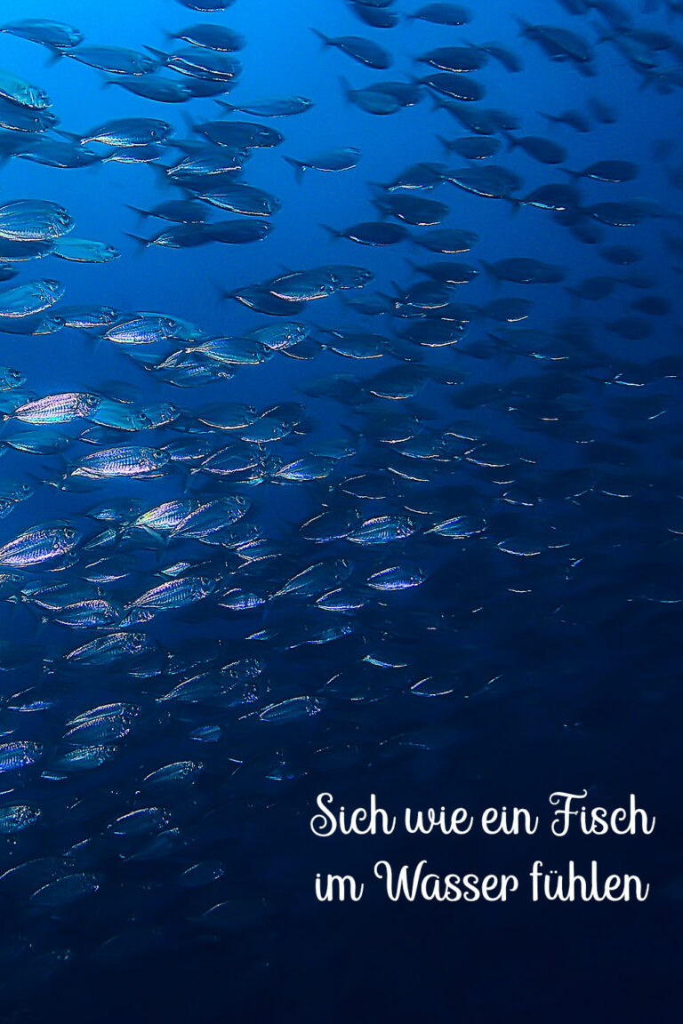 Weisheiten, Sprüche und Zitate über Wasser